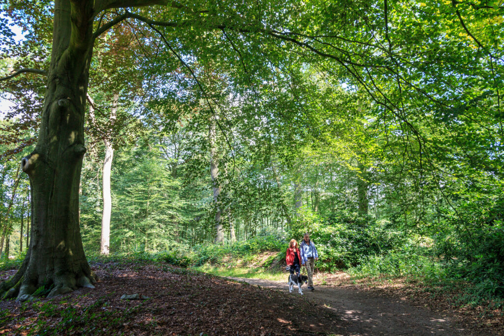 Nature | veluwe.nl
