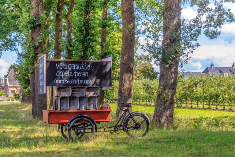 Heerlickheijd van Ermelo - Ermelo - Veluwe
