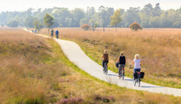 IJs van Co - Hoenderloo - Veluwe